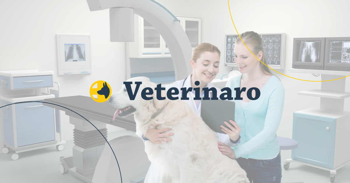 Program dla lekarzy weterynarii- system Veterinaro